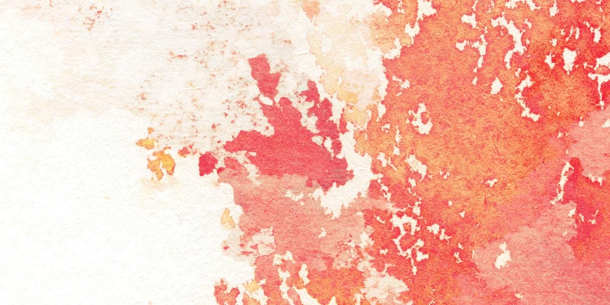 Creative 7 Designs, Inc | Graphic Design | Website Design | Marketing